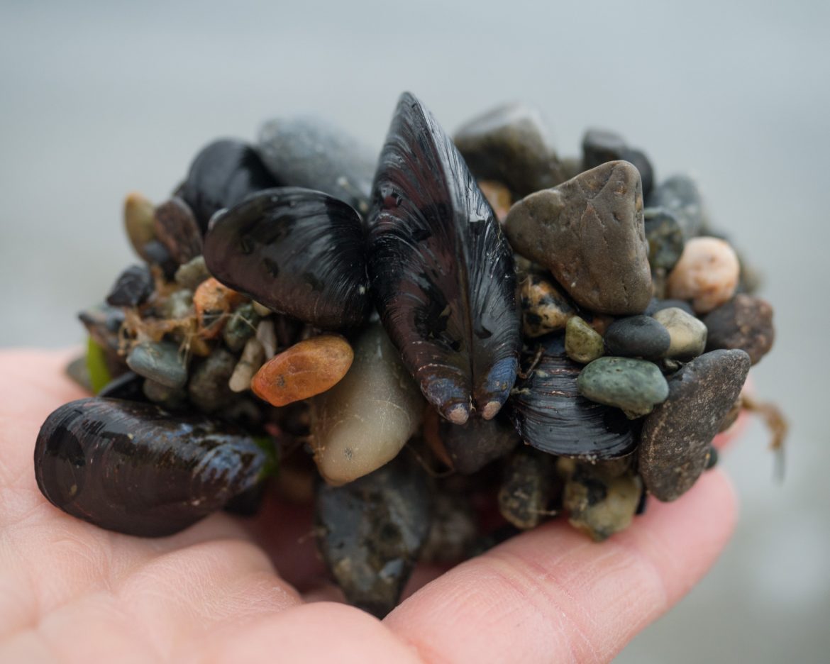 When Autumn Makes You Sad: 5 Proven Ways to Conquer Seasonal Depression ...